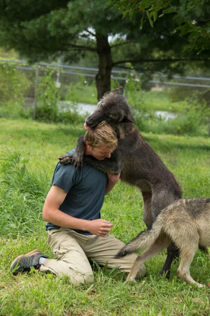 Reflections from Wolf Park | Christopher Lile