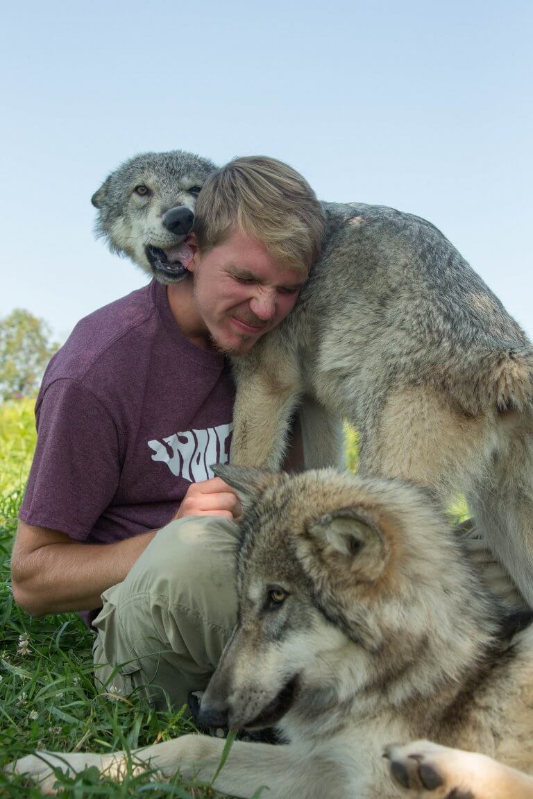 Reflections from Wolf Park | Christopher Lile